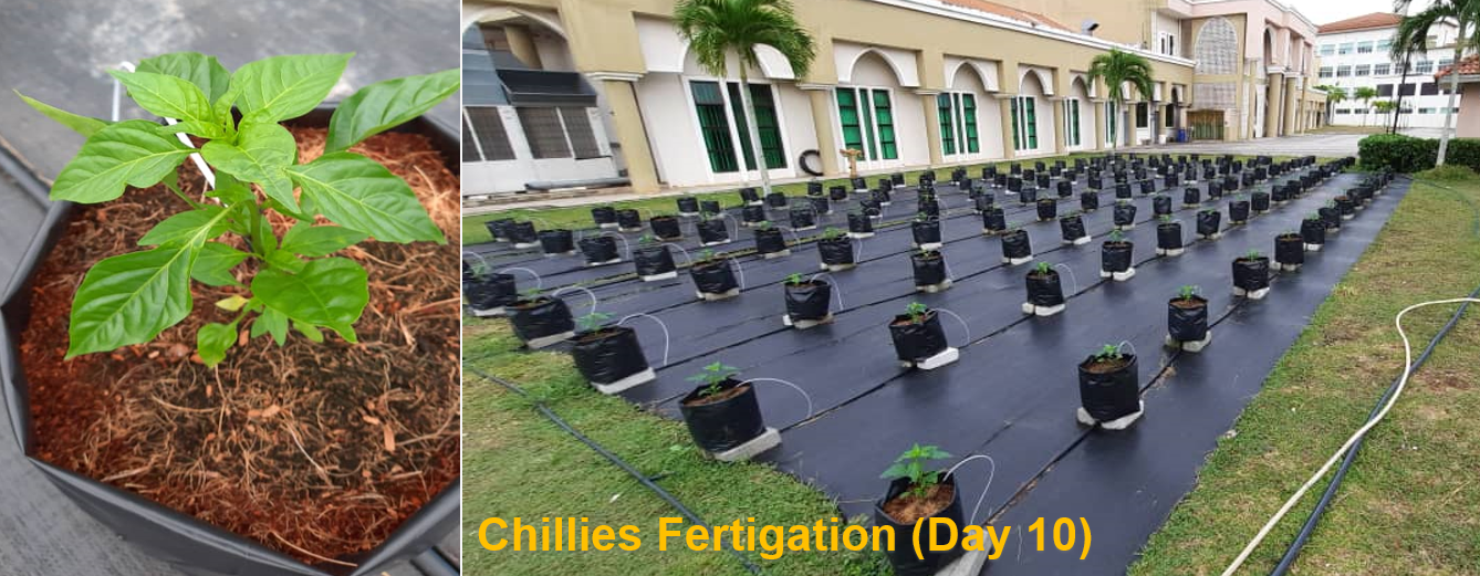 IIUM Kuantan Sejahtera Garden (IKSG) – Sustainable Development Projects ...